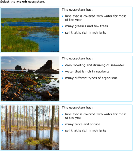 IXL | Identify ecosystems | 5th grade science