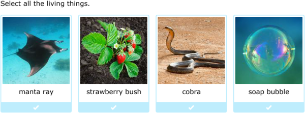 IXL | Identify living and nonliving things | 3rd grade science