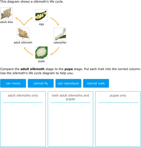 IXL | Compare stages of an animal's life cycle | 3rd grade science