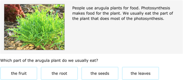 IXL | Classify fruits and vegetables as plant parts | 5th grade science