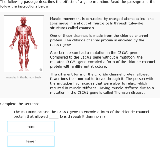 IXL | Describe the effects of gene mutations on organisms | 8th grade ...