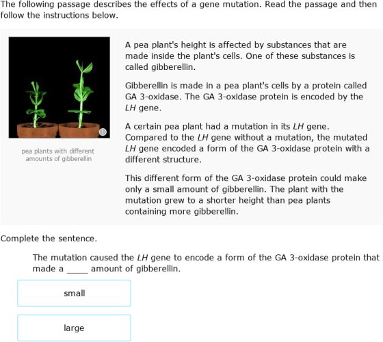 IXL | Describe the effects of gene mutations on organisms | 7th grade ...