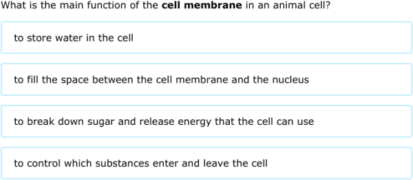IXL | Identify functions of animal cell parts | 4th grade science