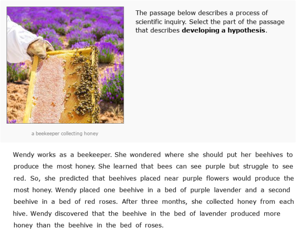 IXL | The process of scientific inquiry | 6th grade science