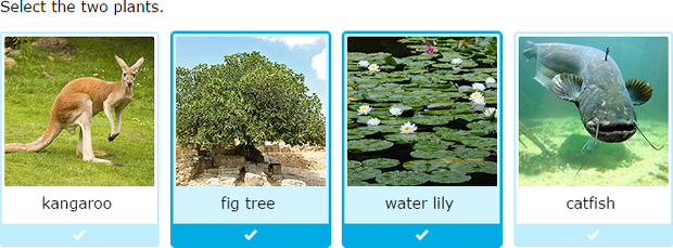 IXL - Identify plants and animals (3rd grade science practice)