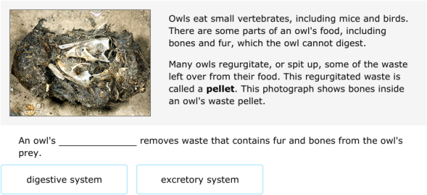 IXL | Body systems: removing waste | 5th grade science